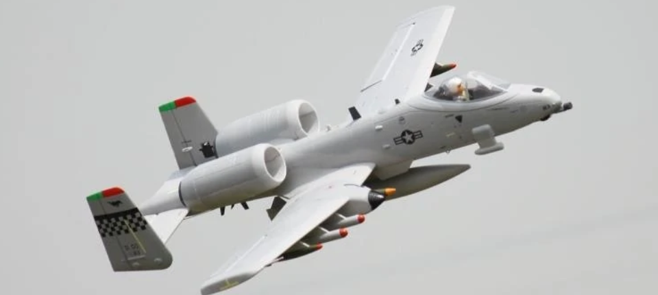 Freewing F-22 Raptor 64mm EDF Jet 690mm RC Airplane Sale,Specs,Price ...